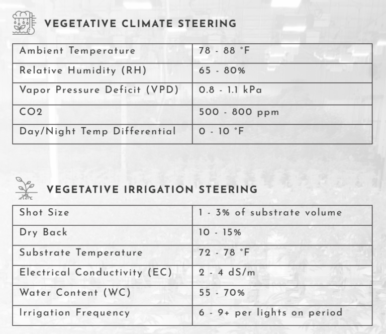 Cannabis EC Advanced Guide (Nutrient Runoff & PH)